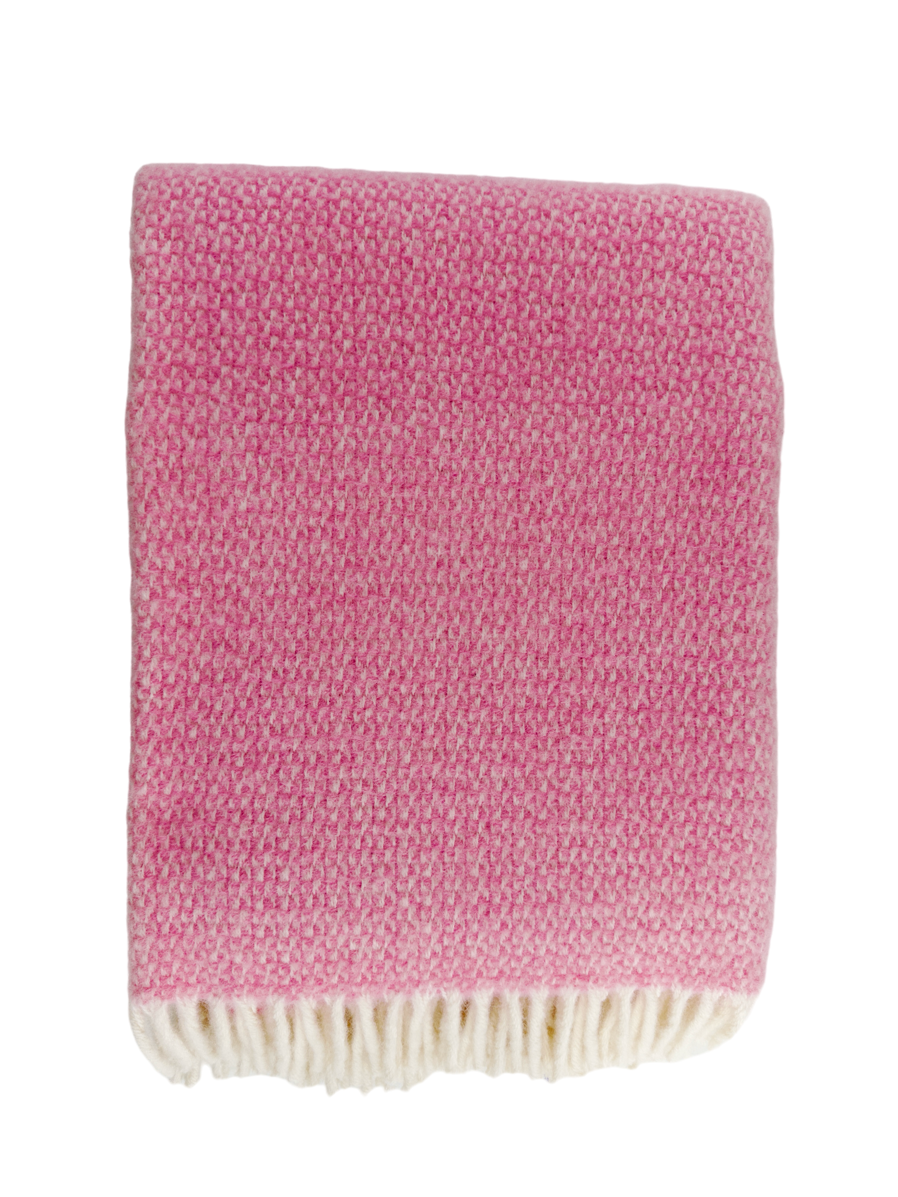 WOLLDECKE PUNTO 0801 ROSE – Willkommen im Shop von D&T Design Hamburg GmbH!